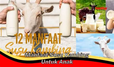 Cara Mengolah Susu Sapi Murni Agar Tidak Cepat Basi Dan Awet Tahan Lama