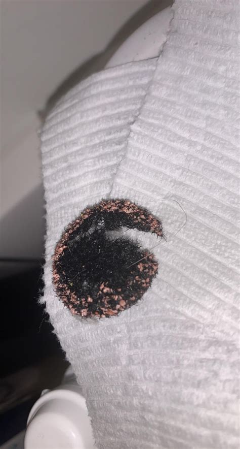 Tried to google lens does anyone know what this could be? Thinking might be from cat idk looks ...