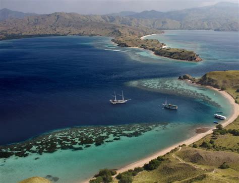 Komodo