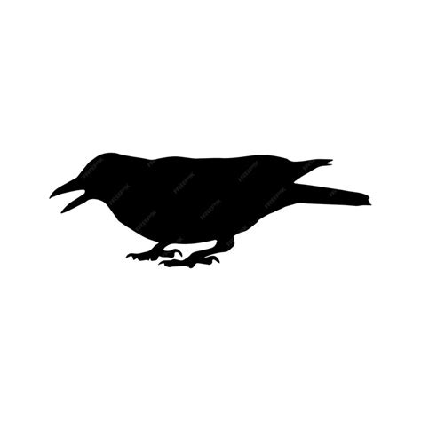 까마귀 실루엣 세트 컬렉션 흰색 배경 벡터 일러스트 레이 션에 고립 된 블랙 프리미엄 벡터