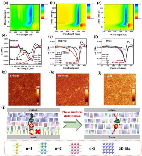 Ac Transient Absorption TA Color Maps Of A Quasi 2D Perovskite Films