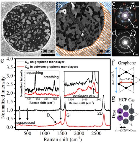 Fig S1 Overview Stem Micrographs Electron Diffraction Patterns And