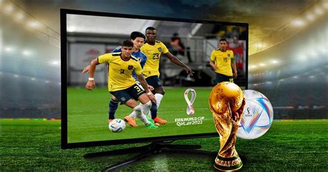 Cómo ver el Mundial así es la TV para Qatar el fixture y el día a día Olé Ecuador