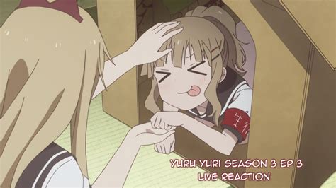 Yuru Yuri Season 3 Ep 3 Live Reaction Read Description Youtube