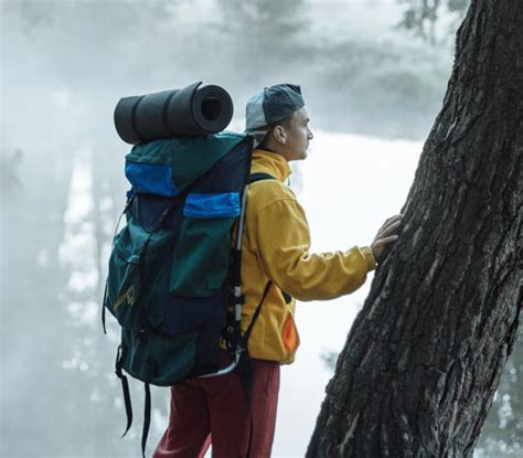 Image Hover Effect Elementskit