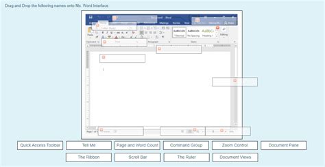 Solved Drag And Drop The Following Names Onto Ms Word Chegg