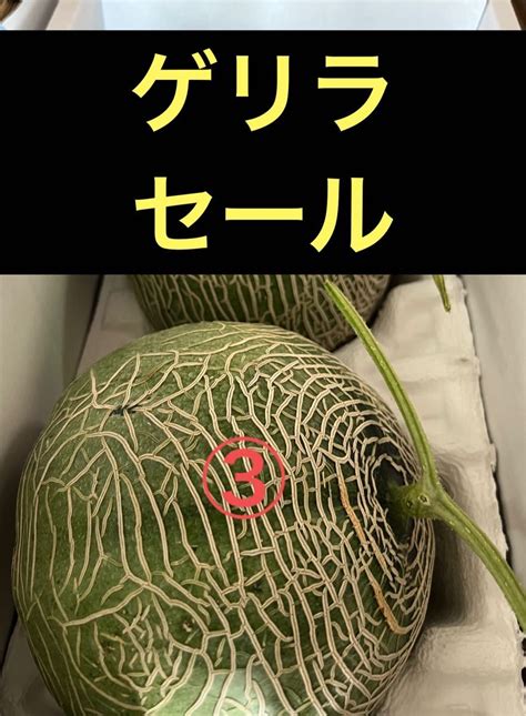 アールスメロン 5l2玉｜yahooフリマ（旧paypayフリマ）