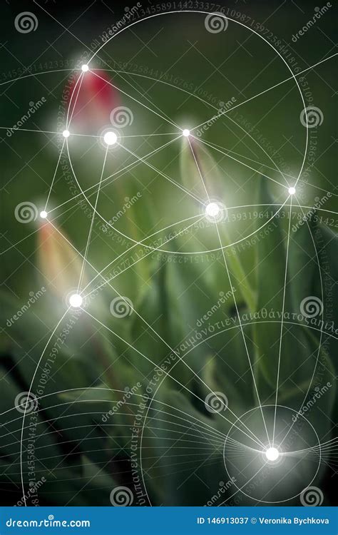 Sacred Geometry Art With Golden Ratio Numbers Interlocking Circles Triangles And Squares