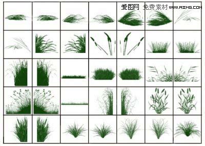 Grassland Photoshop Brushes