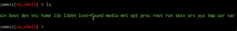 linux red team defense evasion apache2 rootkit