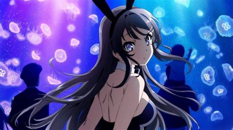 Mai Sakurajima Wallpaper 25 Mai Sakurajima Bunny Girl Cat Girl