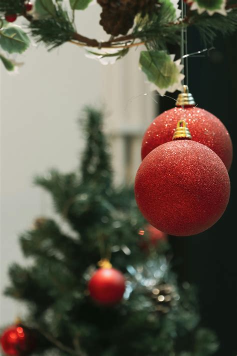 Різдвяна ялинка · Безкоштовне стокове фото