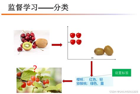 大数据挖掘及应用（期末复习版）大数据挖掘及应用期末试题 Csdn博客