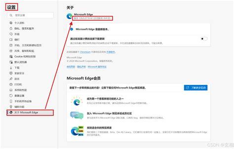 Python Selenium安装microsoft Edge驱动器下载配置流程最新推荐python脚本中心 编程客栈