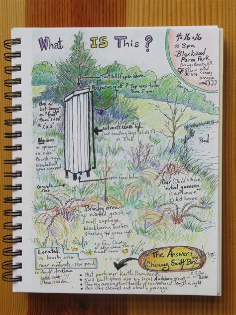 Nature Journaling Duke Forest