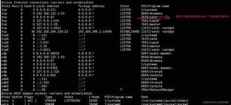 Linux动态监控进程与网络状态 Csdn博客
