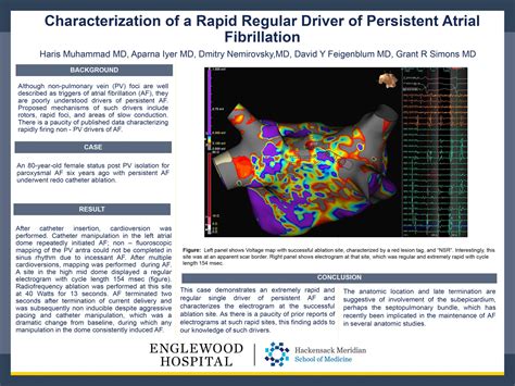 Characterization Of A Rapid Regular Driver Of Persistent Atrial Fibrillation Englewood Health