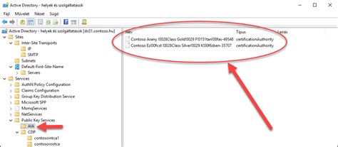 Certs And Crls Download From Aia And Cdp Paths Fails Microsoft Qanda