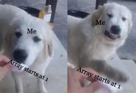 Arrays Start At 0 R ProgrammerHumor