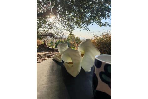 Dombeya Ridge Guest Suite Campsite Rustenburg