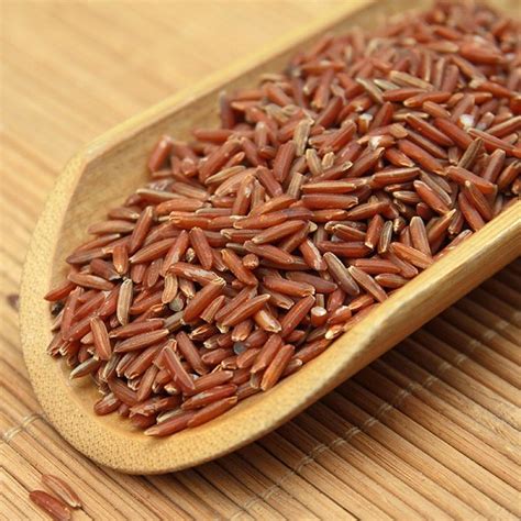 丰南胭脂稻详细介绍：特点 唐山特产 特色谷