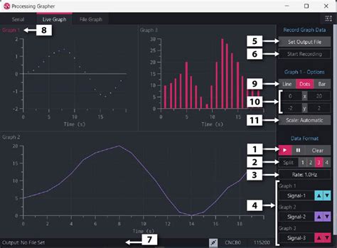 Processing Grapher Chillibasket