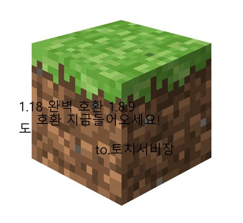 torch server