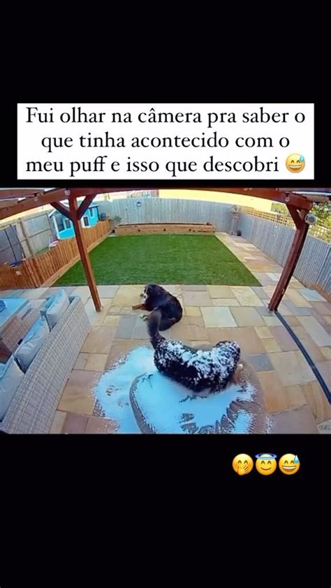 Denise Mello Faz Parte 😌😎🤗🐾♥️ Alguém Mais Se Identifica🙋🏻‍♀️🤭😅