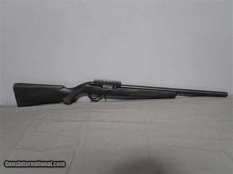 Ruger 10 22 Custom