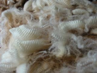 V Kup Vlny Nevykupuje Se V Kup Ov Vlny Wool Buy S R O