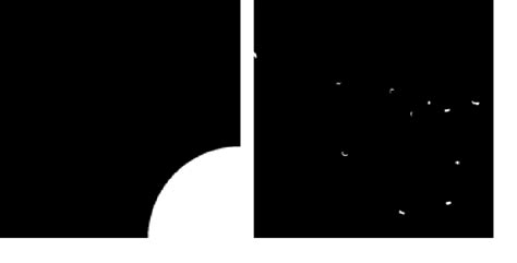 Figure From An Automatic Measurement Method For The Response Of Caenorhabditis Elegans To