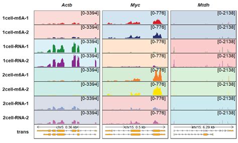 Chapter Basic Visualization BioSeqUtils Reference