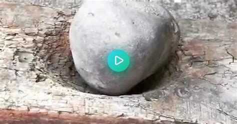 Fossil Hunting Album On Imgur