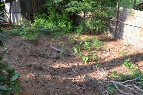 Filling In A Sinkhole And Leveling My Yard Part 2 Of 3 • Ugly
