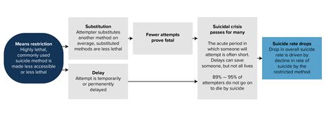 Why Focus On Firearms Prevent Firearm Suicide
