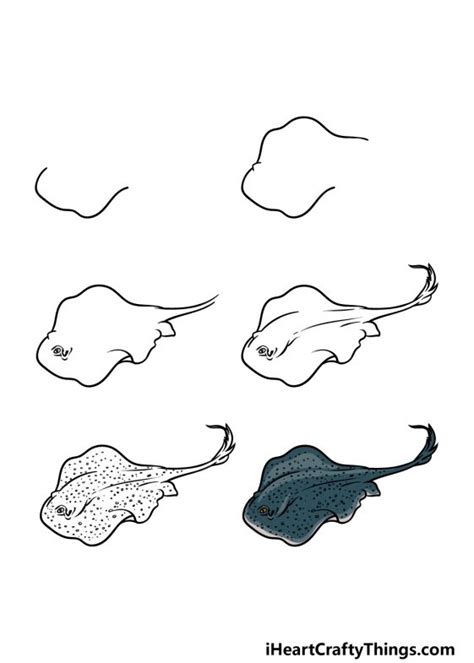 Stingray Drawing How To Draw A Stingray Step By Step