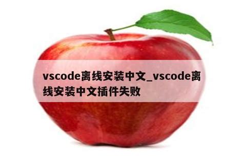 Vscode离线安装中文vscode离线安装中文插件失败 陕西卓智工作室
