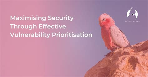 Galah Cyber On Linkedin Vulnerabilityprioritisation Galahcyber