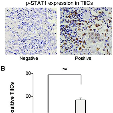 Representative Immunohistochemical Staining Breast Cancer Tissues Were