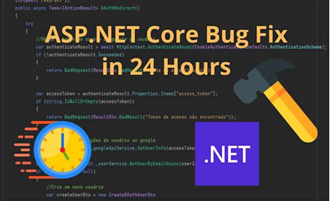 Bug Fix In Your Asp Net Core Api Quickly By Eduardo Kroetz Fiverr
