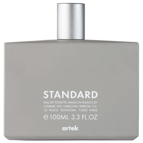 Comme Des Garçons Standard Eau De Toilette 100 Ml Baslerbeauty