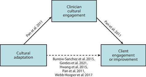 Conceptual Model Of Cultural Adaptation Adoption In Mental Health