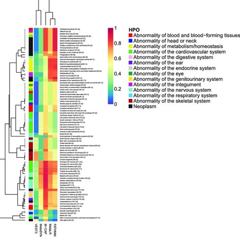 Heatmap Showing Auprc For Hpo Phenotypic Abnormality Terms Where Top