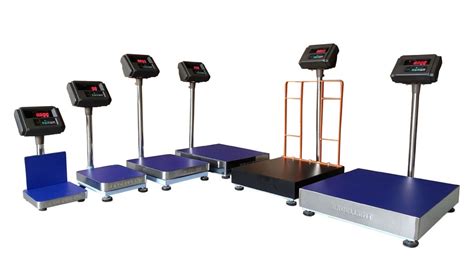 Bs Ms A12 E Shasa Scale