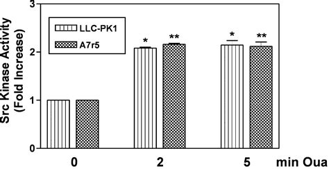 Src Mediated Inter Receptor Cross Talk Between The Nak Atpase And The Epidermal Growth Factor