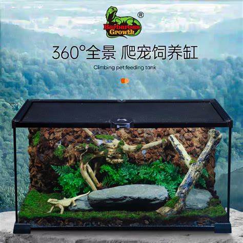 守宫鬃狮蜥蜴饲养箱爬宠虫角蛙蜘蛛饲养盒雨林生态造景玻璃饲养缸 Taobao