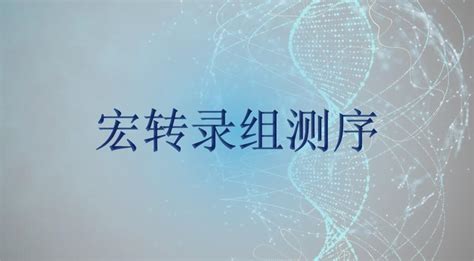 高通量测序 及因（上海）生物科技有限公司 及因（上海）生物科技有限公司