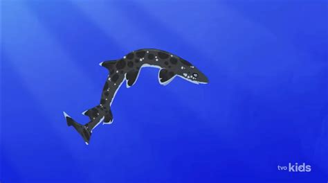 Coral Catshark Wild Kratts Wild Kratts Fanon Wiki Fandom