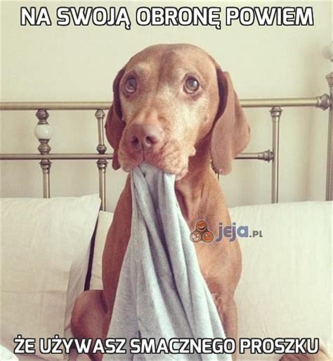 Na Swoj Obron Powiem Jeja Pl