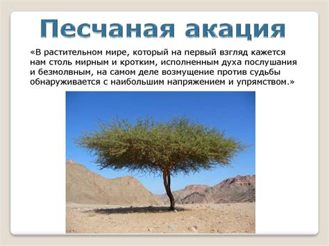Экологические группы растений по отношению к влажности Online